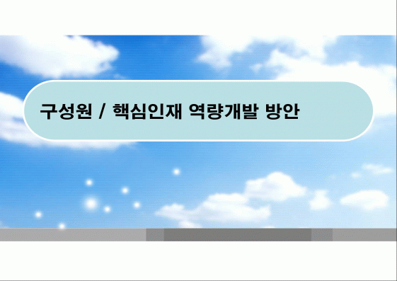 구성원, 핵심인재 역량개발 방안