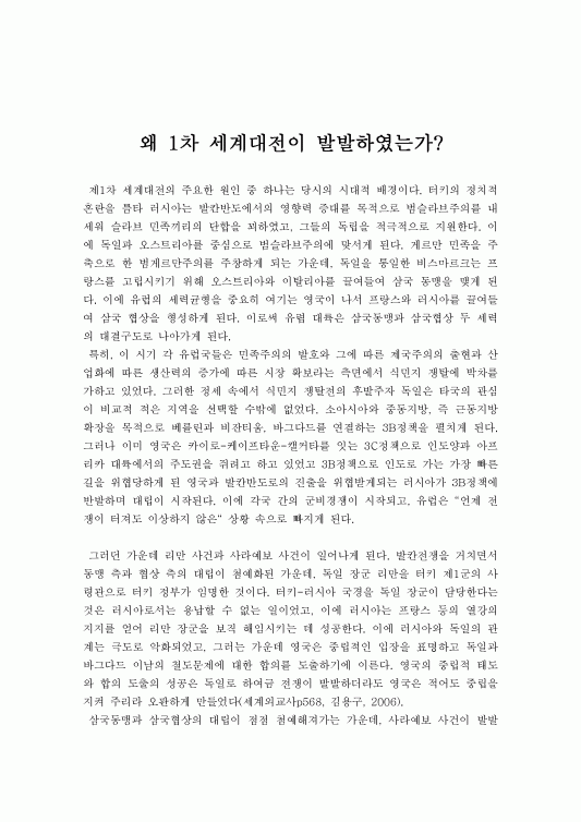 왜 1차 세계대전이 발발하였는가