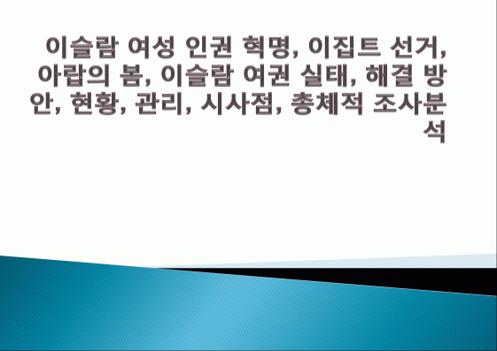 이슬람 여성 인권 혁명, 이집트 선거, 아랍의 봄, 이슬람 여권 실태, 해결 방안, 현황, 관리, 시사점, 총체적 조사분석