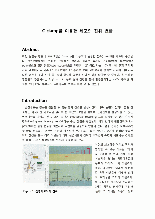[생물학 실험보고서] 식물호르몬(옥신, 시토키닌, 지베렐린)의 기능