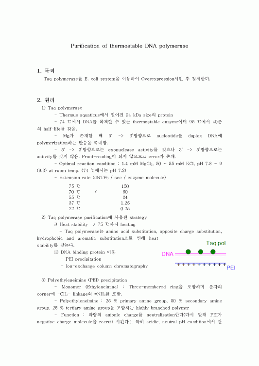 [생화학 실험보고서] E. coli system을 이용하여 Taq polymerase를 Overexpression시킨 후 정제
