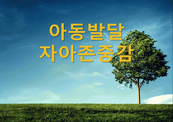 [사범/법학] 아동발달 자아존중감