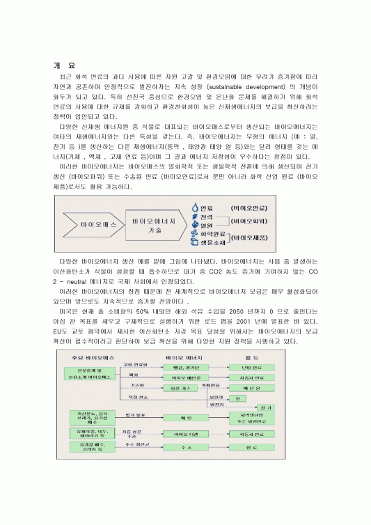[공학/컴퓨터/통신] 바이오에너지