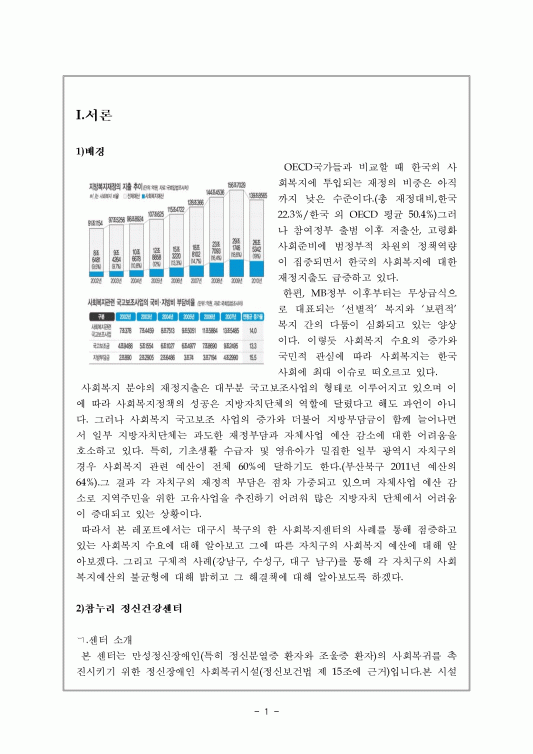 사회복지부분의 지방자치 실태
