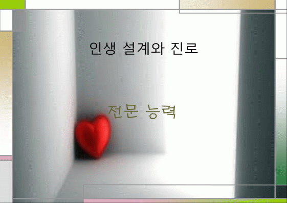 전문능력 나의 인생설계