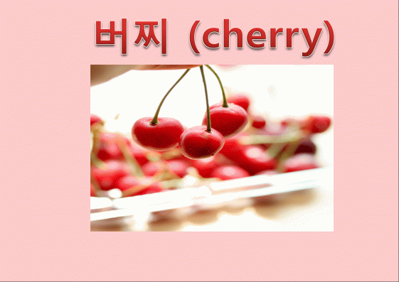 버찌 (cherry) 레포트 자료