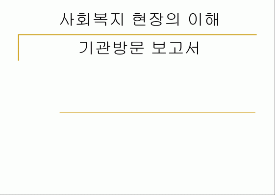 [사회복지 현장의 이해] 기관방문 보고서 - 부산시각장애인복지관