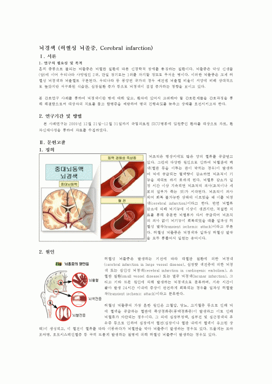 뇌경색(뇌졸증)