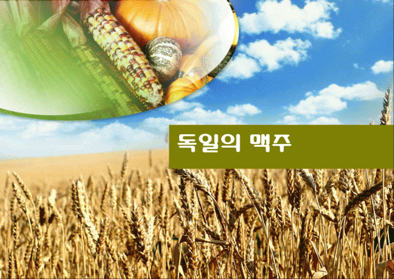 독일의 맥주 레포트 자료