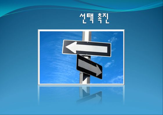선택 촉진 레포트 자료