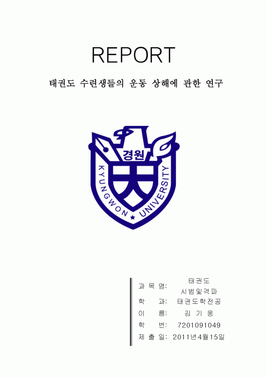 태권도 수련생들의 운동 상해에 관한 연구