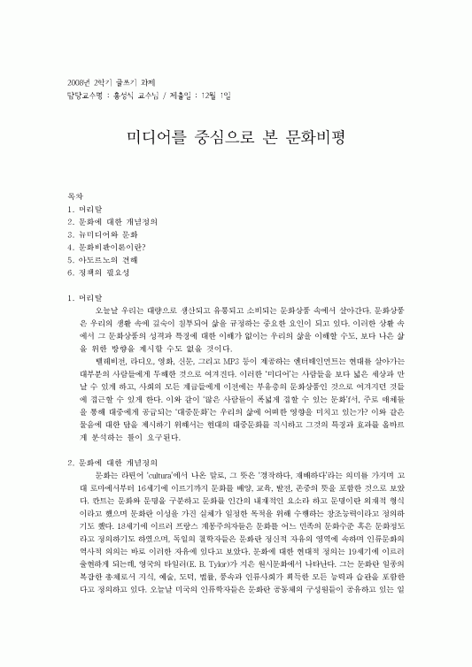 미디어를 중심으로 본 문화비평