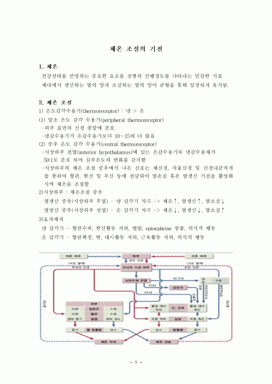 체온 조절의 기전