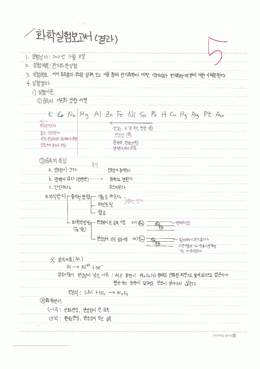 [화학실험2]전기화학실험(결과)