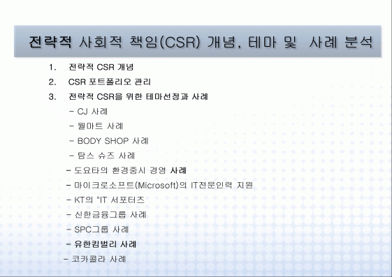 [CSR] 전략적 CSR 개념, 테마 및 사례 분석