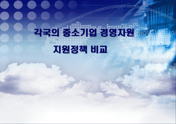 각국의 중소기업 경영자원 지원정책 비교