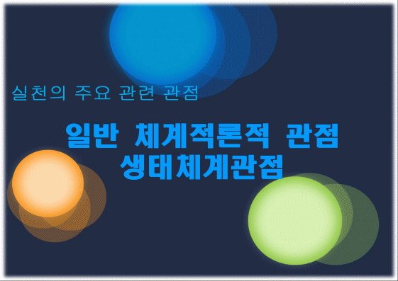 일반 체계적론적 관점 생태체계관점