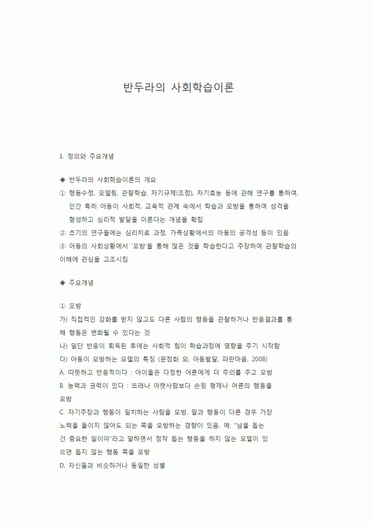 반두라의 사회학습이론의 개요 기본가정과 관점비교