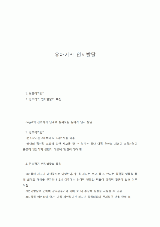 유아기의 인지발달