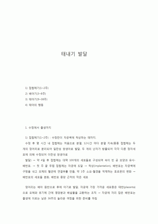 태내기 발달 (접학체기, 배아기, 태아기, 태아의 행동)