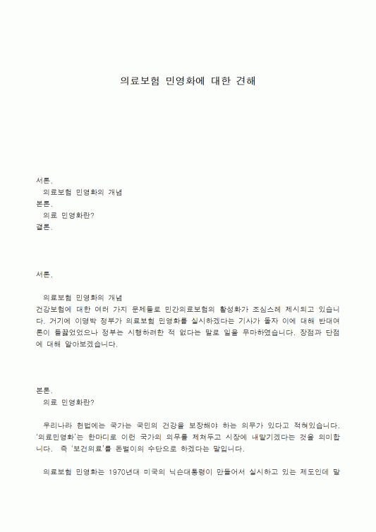 의료보험 민영화에 대한 견해