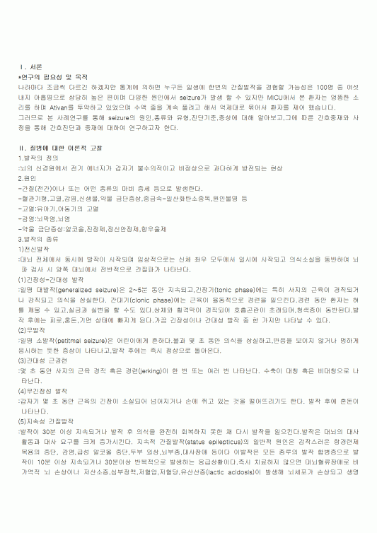 seizures 레포트 자료