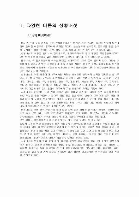 상황버섯 레포트 자료