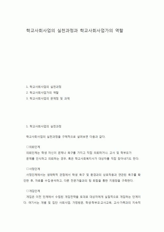 학교사회사업의 실천과정과 학교사회사업가의 역할