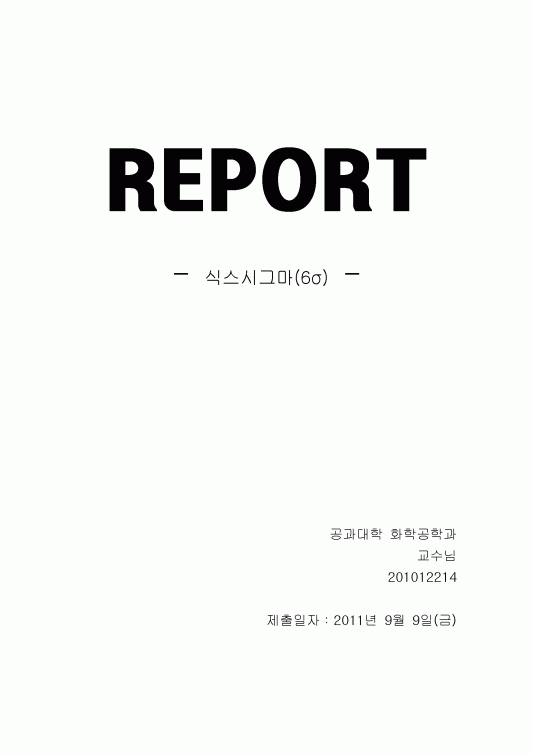 공정모형해석 report