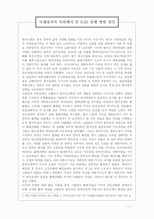 현대정치와 국제관계 report