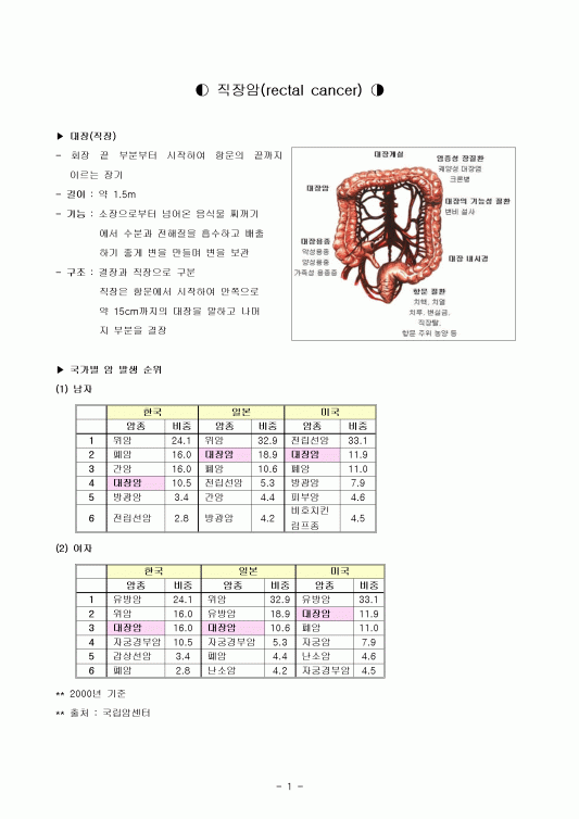 ◐직장암 레포트 자료
