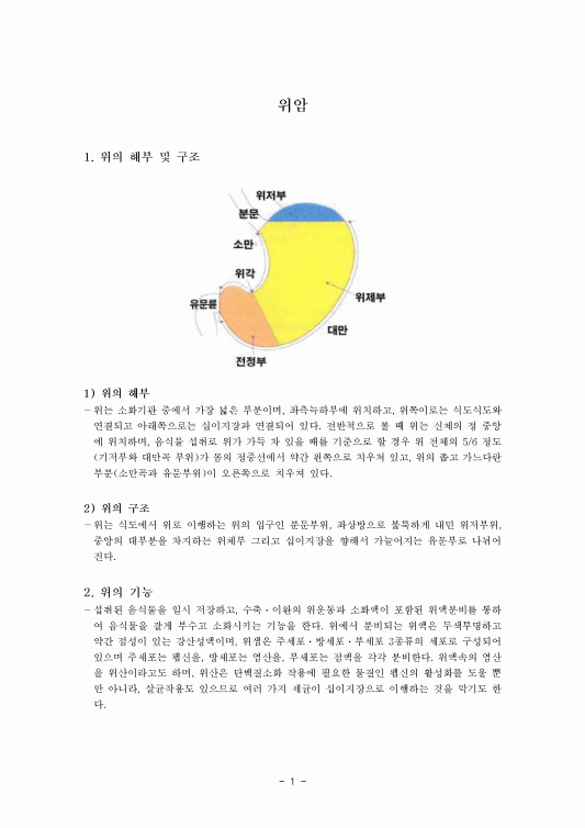 위암 문헌고찰