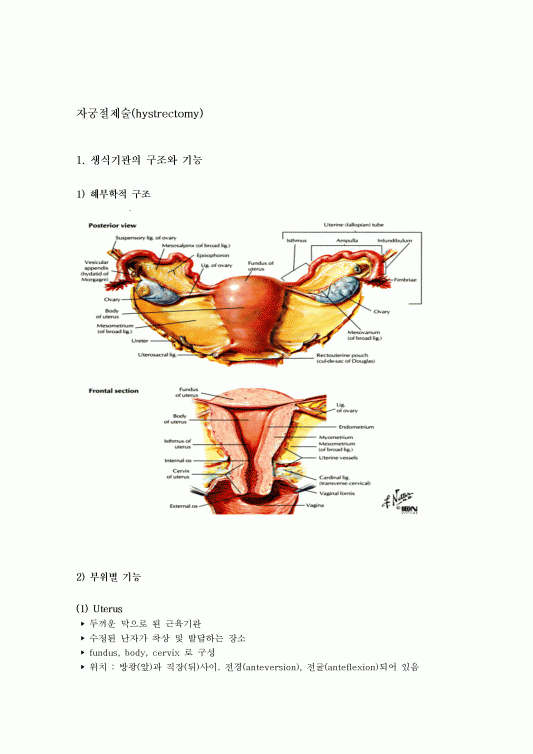 자궁_절제술(hystrectomy)