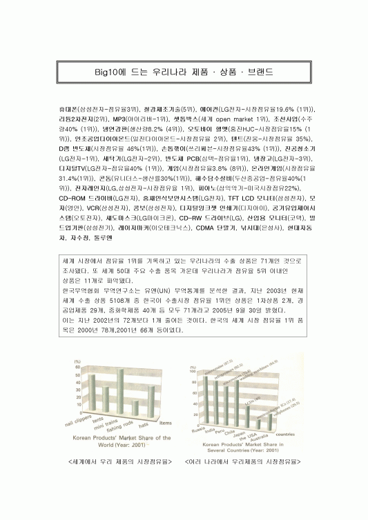 빅10우리나라 제품 및 미래기술들 (유비쿼터스)