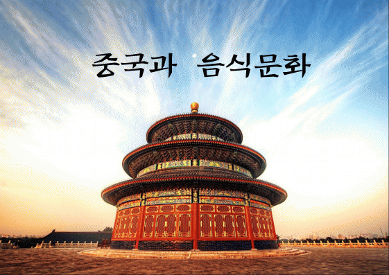 중국의 음식문화 중국 패스트문화 사업
