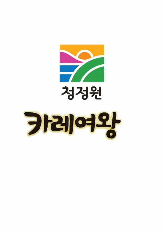 청정원 카레여왕 마케팅사례분석 및 마케팅 전략제안