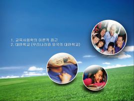 교육사회학의 이론적 접근, 대안학교