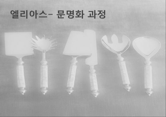 엘리아스- 문명화 과정