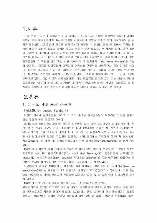 미국 4대 프로 스포츠
