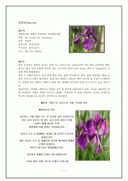 탄생화(꽃창포)