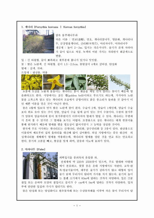 행복한원예생활(25종)