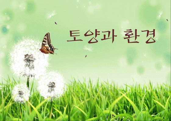 토양과 환경 레포트 자료