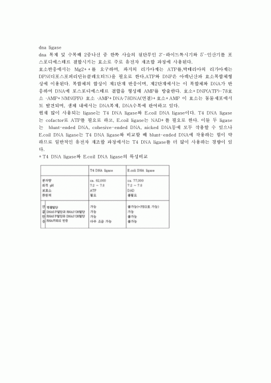 dna ligase 레포트 자료
