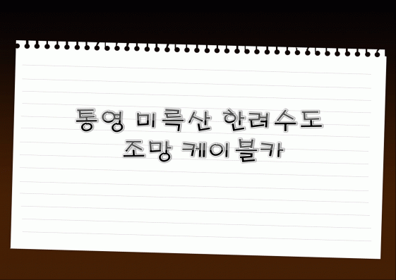 관광개발통영케이블카