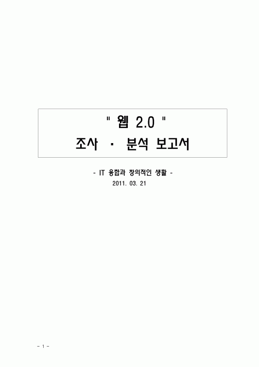 웹2.0 조사분석 리포트