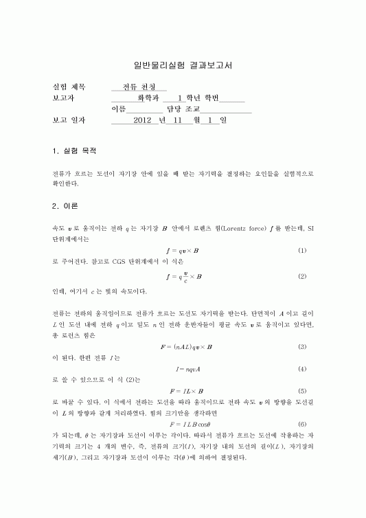 23전류천칭 레포트 자료