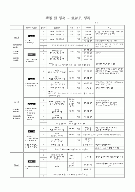 mmt 레포트 자료