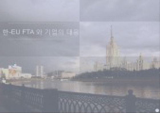 한-EU FTA와 기업의 대응
