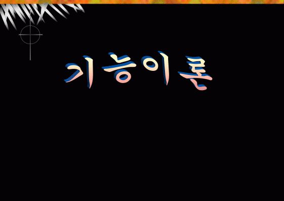 기능이론 레포트 자료