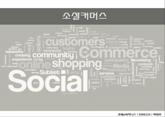 소셜커머스 시장분석